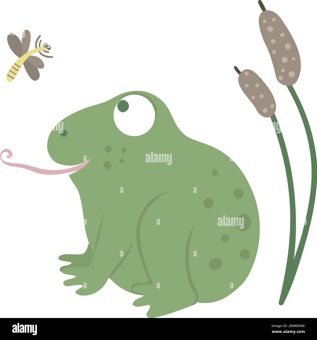 Vector cartoon style flat funny frog with reeds and mosquito isolated ...