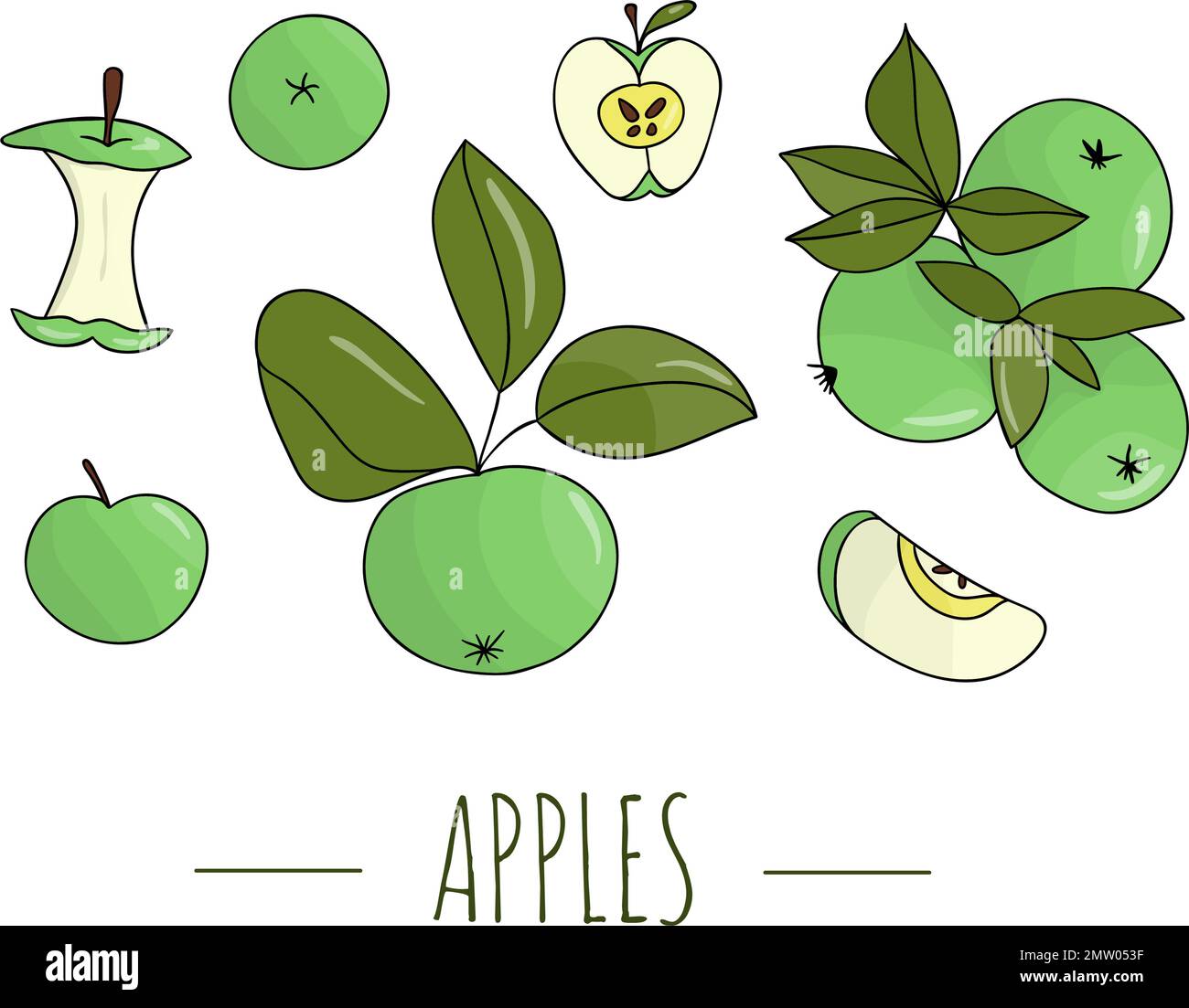 Vector colored set of hand drawn apples. Illustration of autumn harvest ...