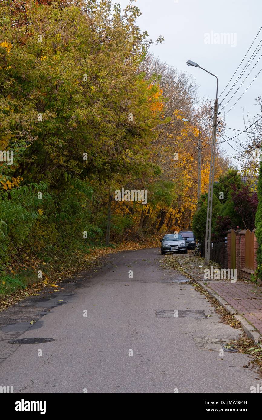 Quiet and peaceful street in the suburbs on a gloomy autumn day Stock ...