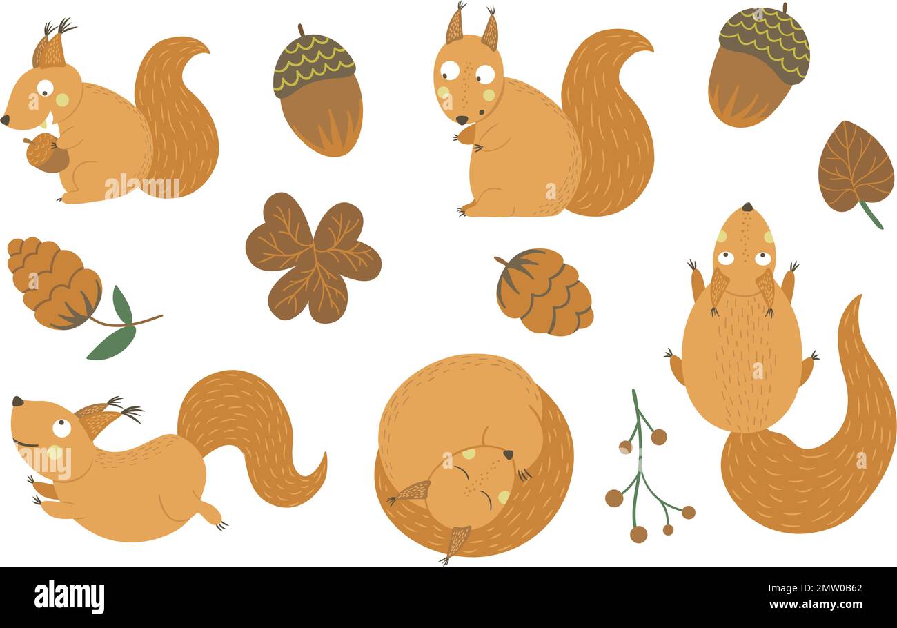 Vector set of cartoon style hand drawn flat funny squirrels in ...