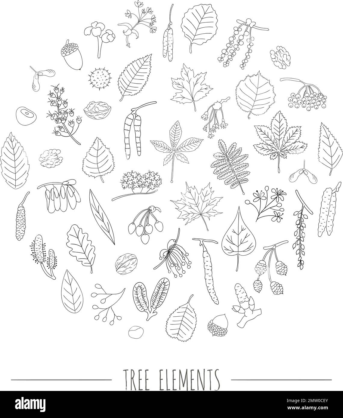 Vector set of black and white tree elements isolated on white ...