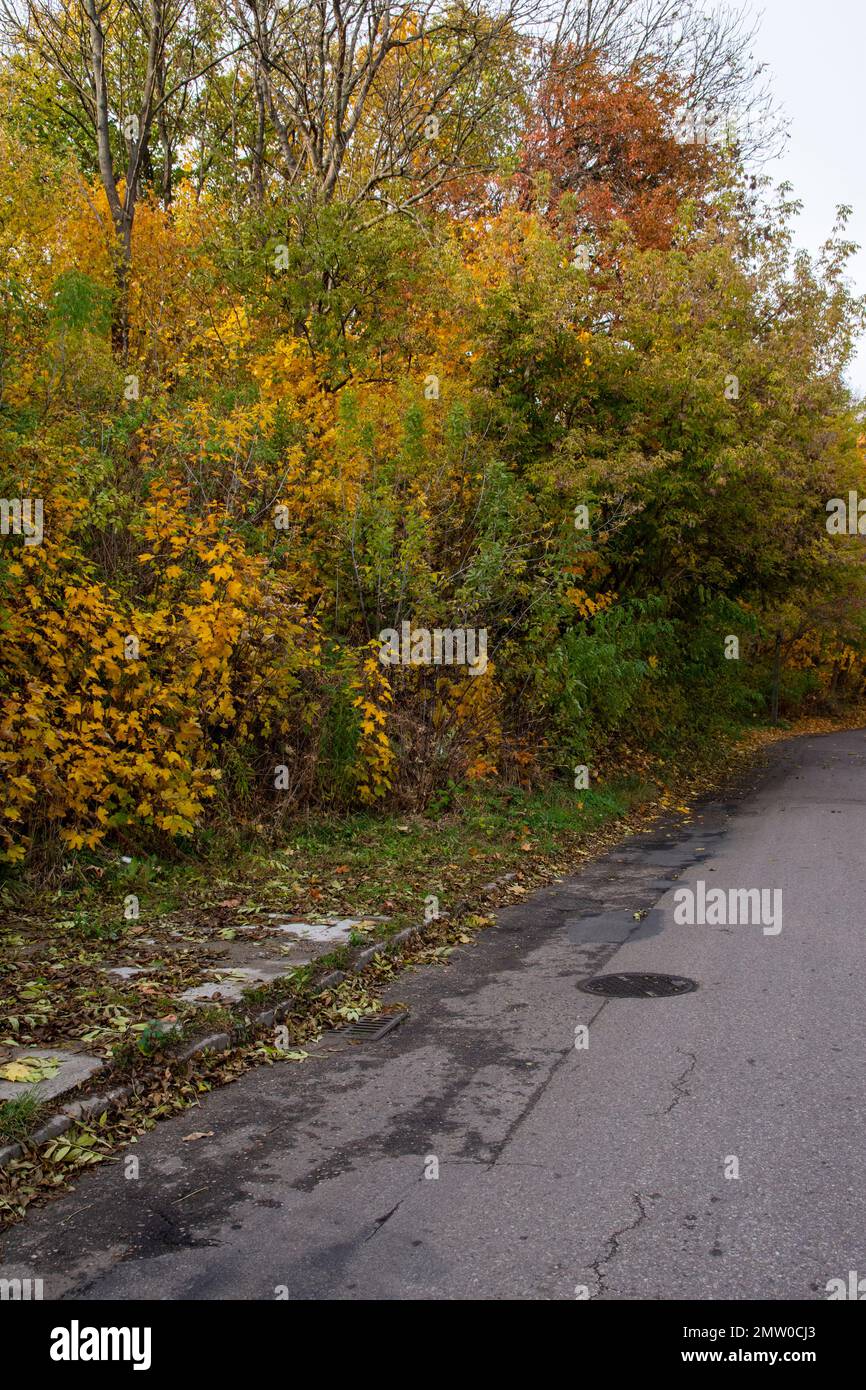 Quiet and peaceful street in the suburbs on a gloomy autumn day Stock ...
