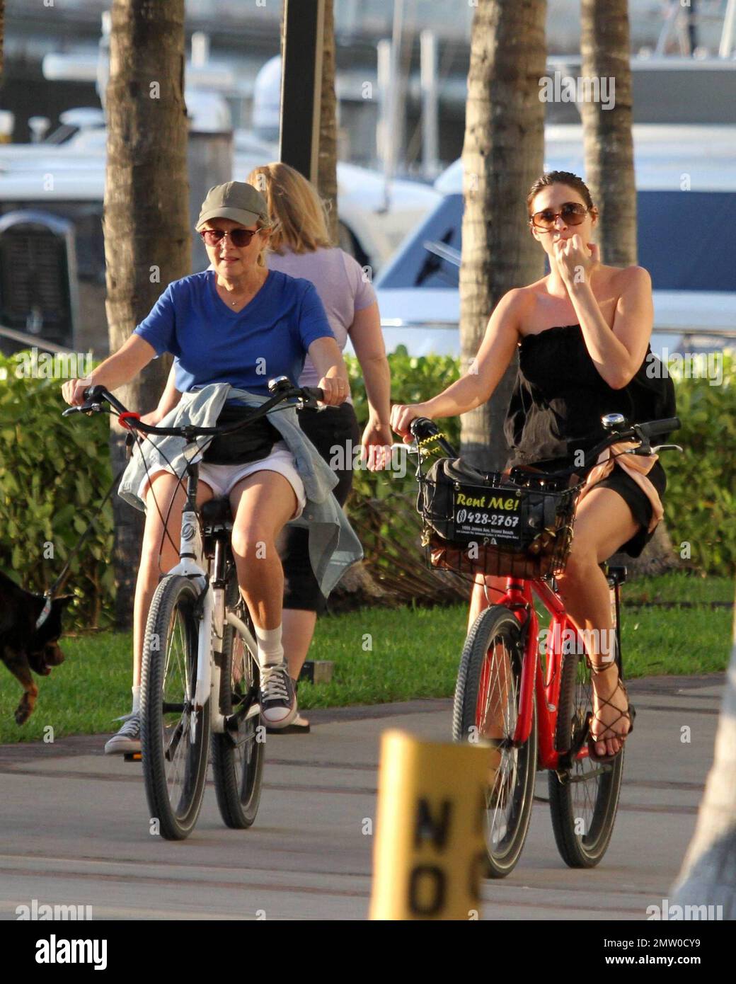 EXCLUSIVE!! English model Twiggy (aka Lesley Hornby), 61, her husband ...