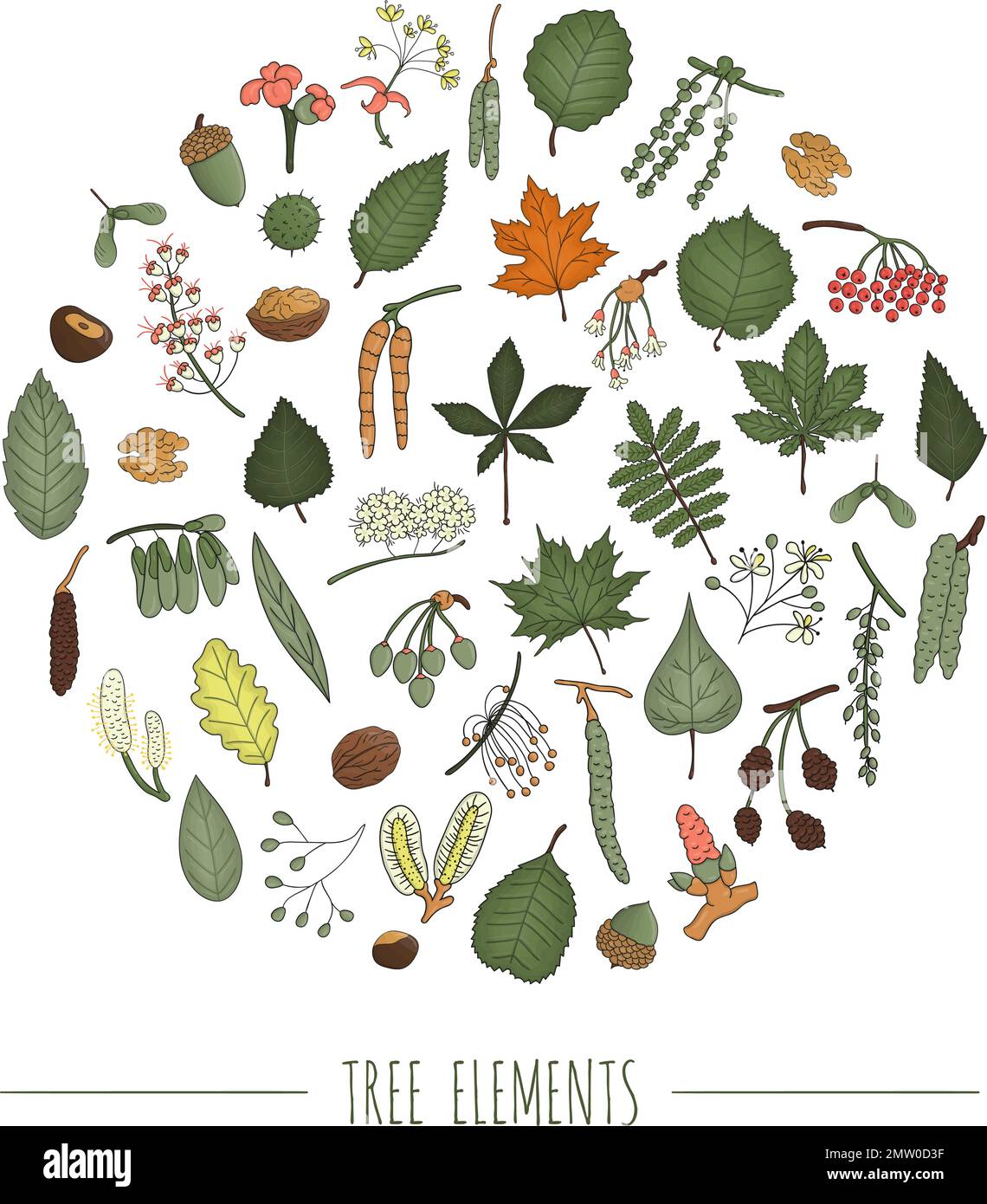 Vector set of colored tree elements isolated on white background framed ...