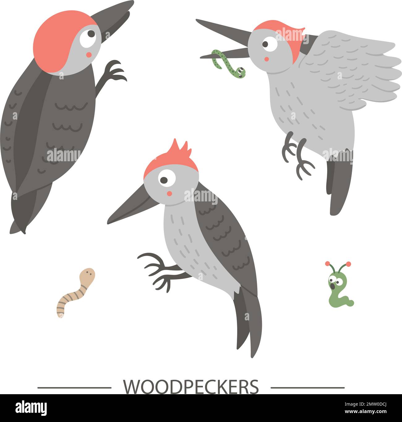 Vector set of cartoon style hand drawn flat funny woodpeckers in ...