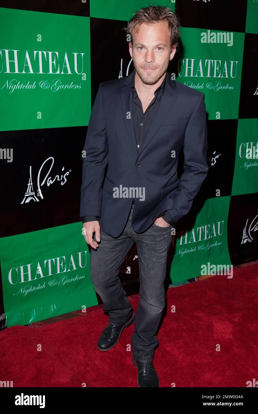 Stephen Dorff poses for photographers at Chateau Nightclub inside the ...