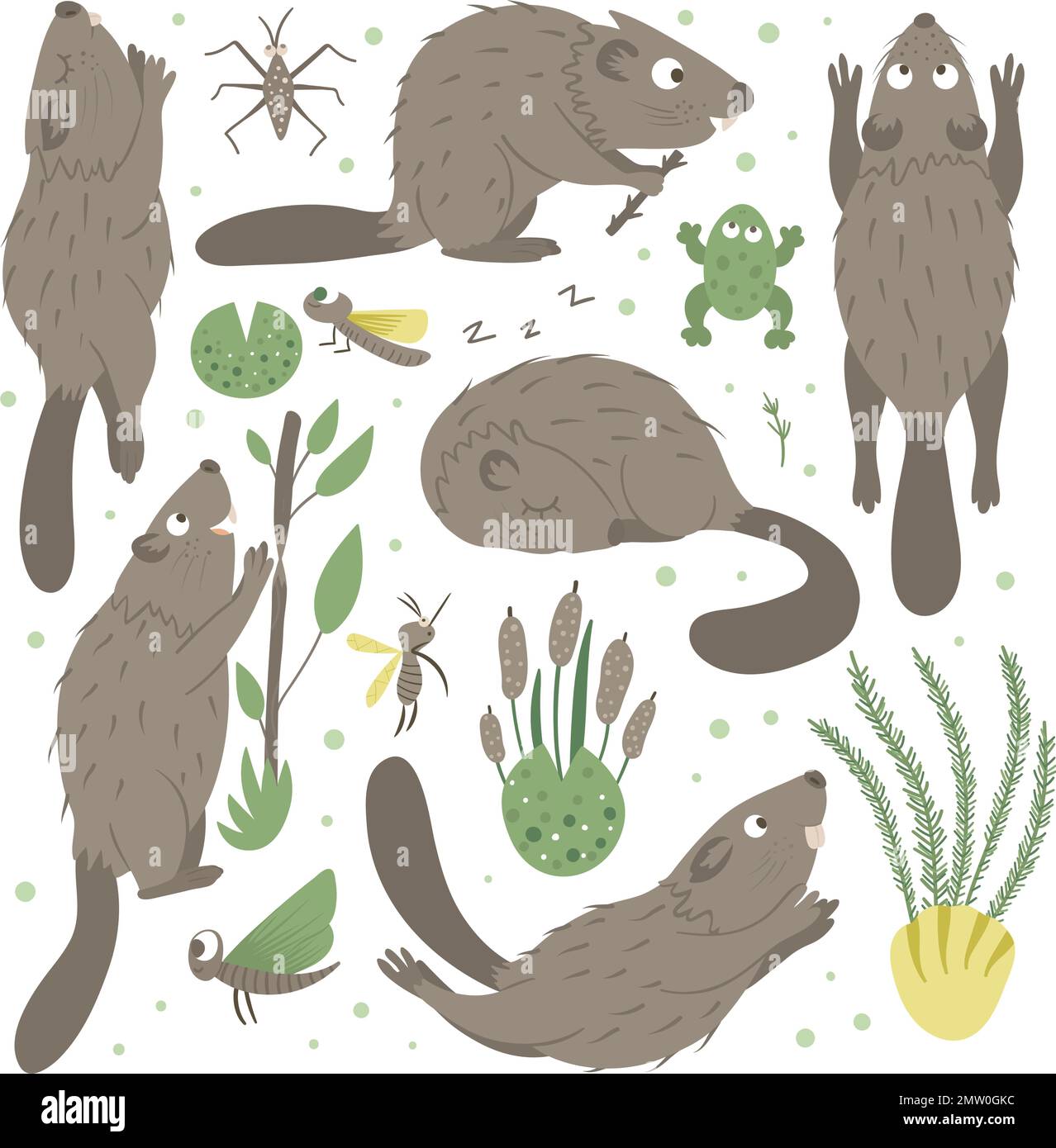 Swamp insects Cut Out Stock Images & Pictures - Alamy