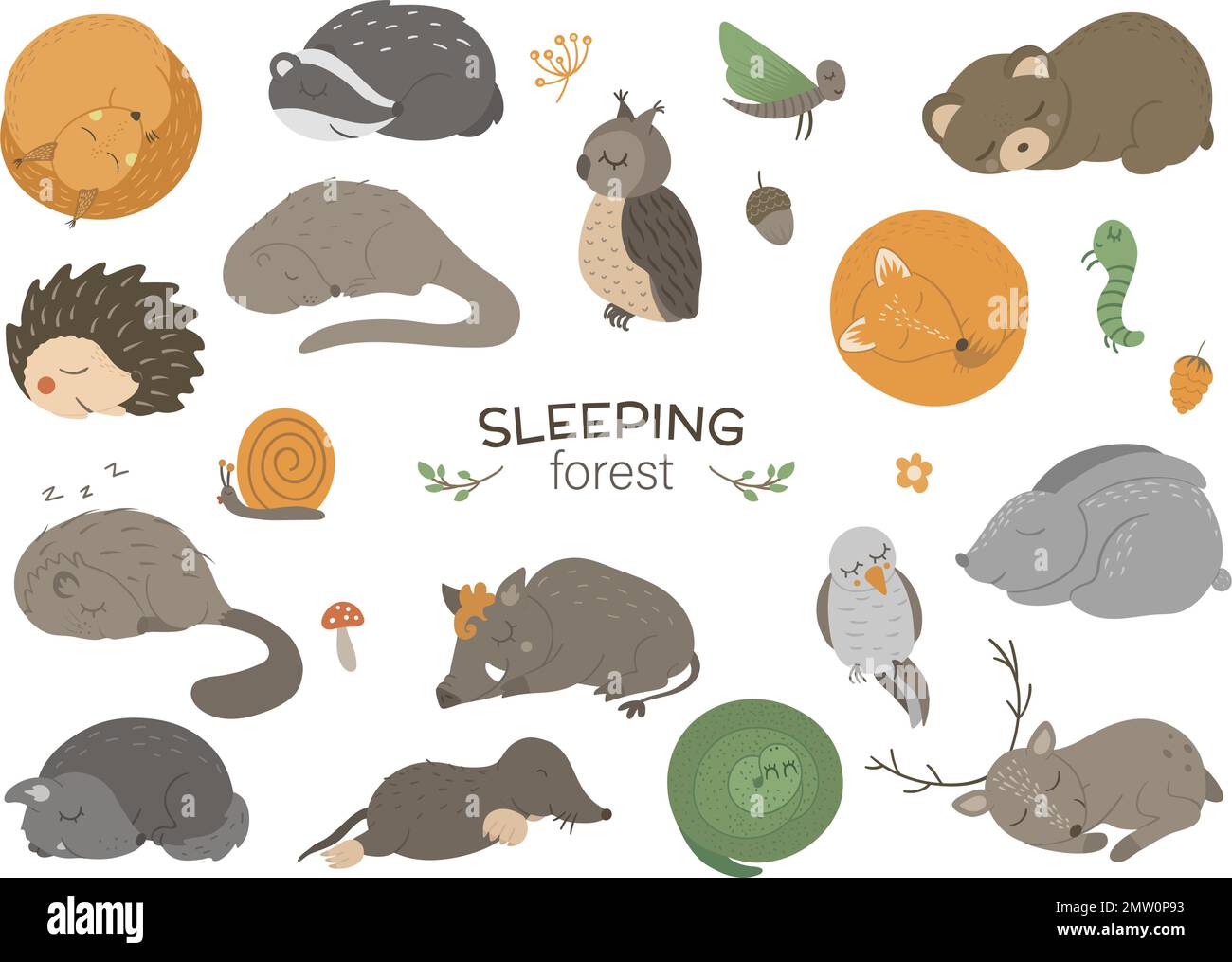 Night otter Stock Vector Images - Alamy