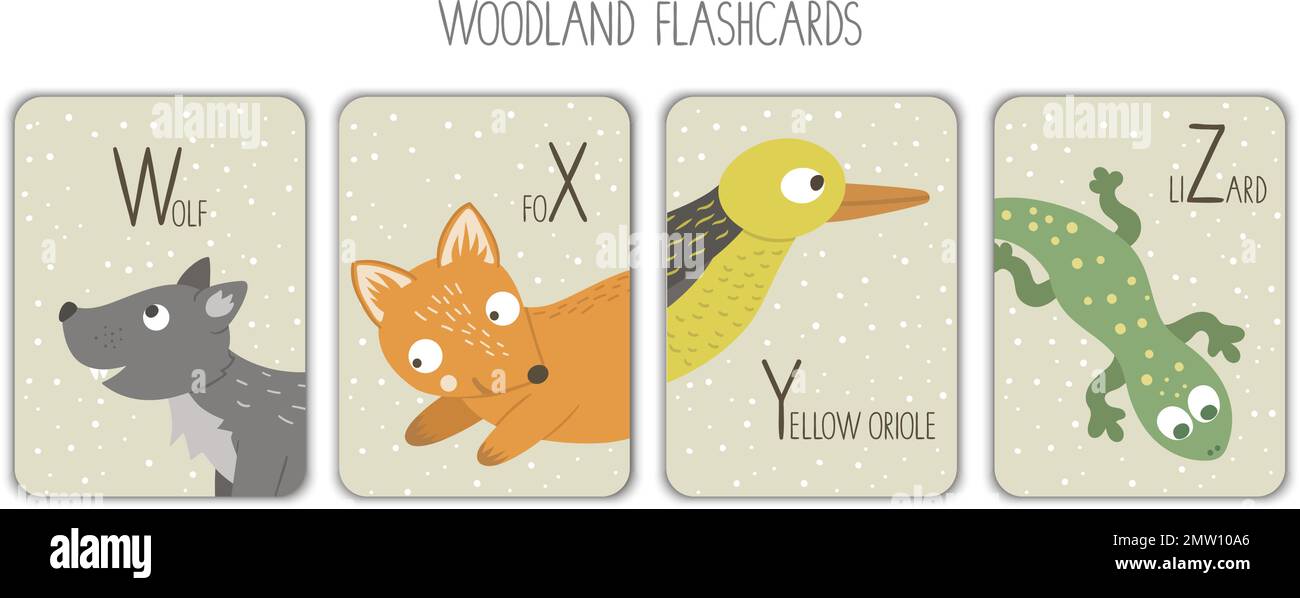 Colorful alphabet letters W, X, Y, Z. Phonics flashcard. Cute woodland ...