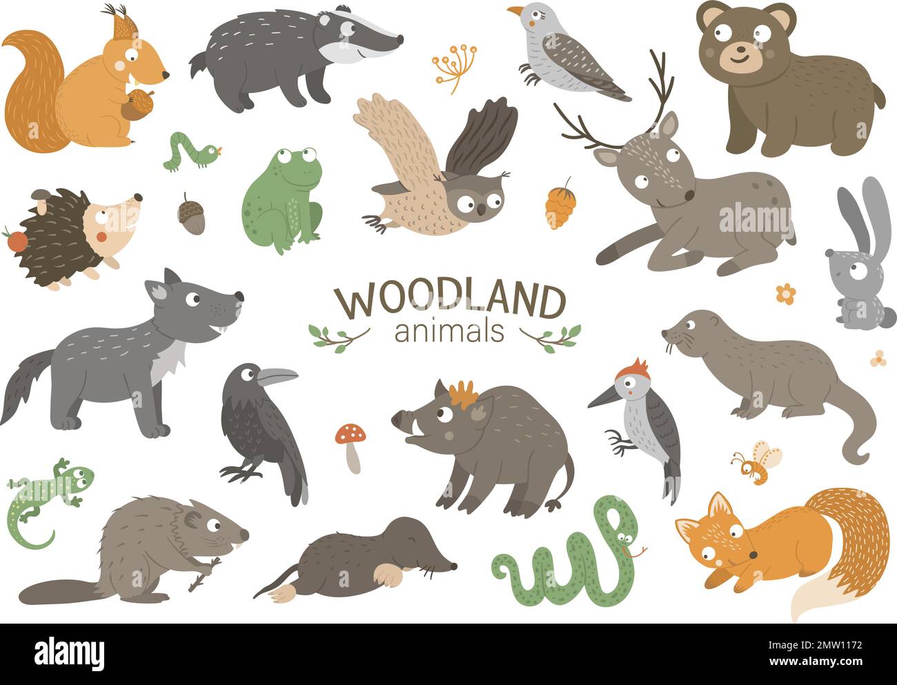 Woodland Animals Clip Art Printables Amazon.com: Woodland Animals
