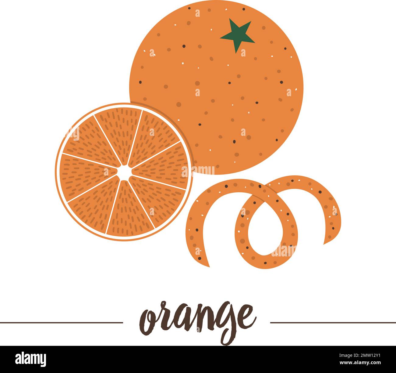 Vector orange with slice and rind isolated on white background. Cute ...