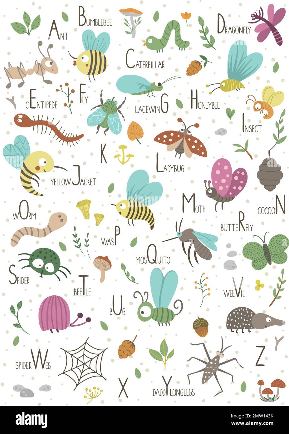 Woodland alphabet for children. Cute flat ABC with forest insects ...