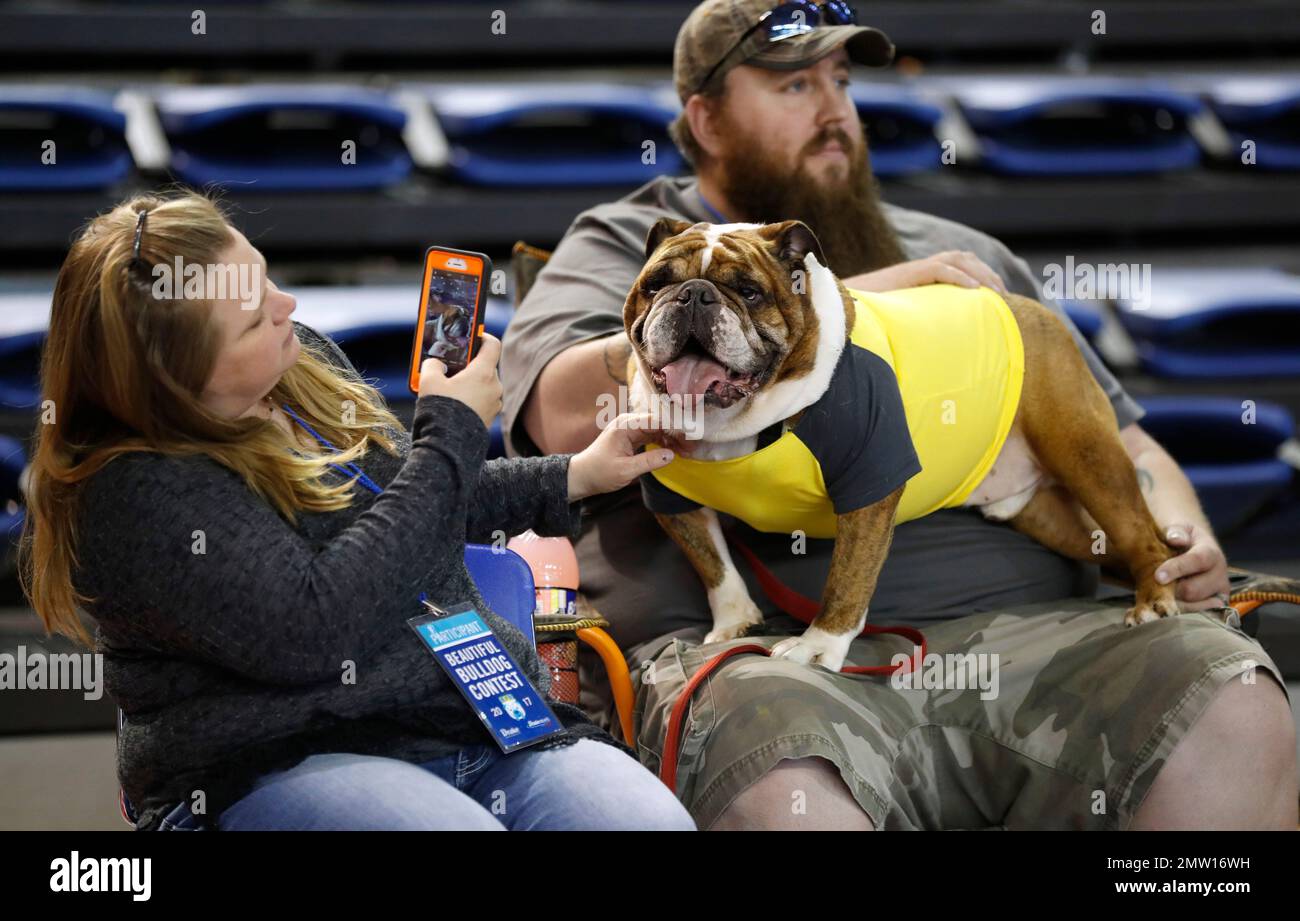 Cathy McNeil, of Vinton, Iowa, takes a photo of her bulldog Ozzie as he ...