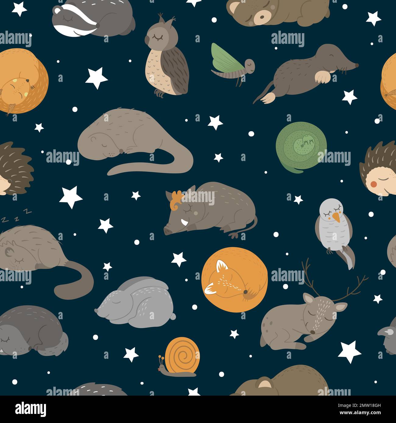 Badger night Stock Vector Images - Alamy