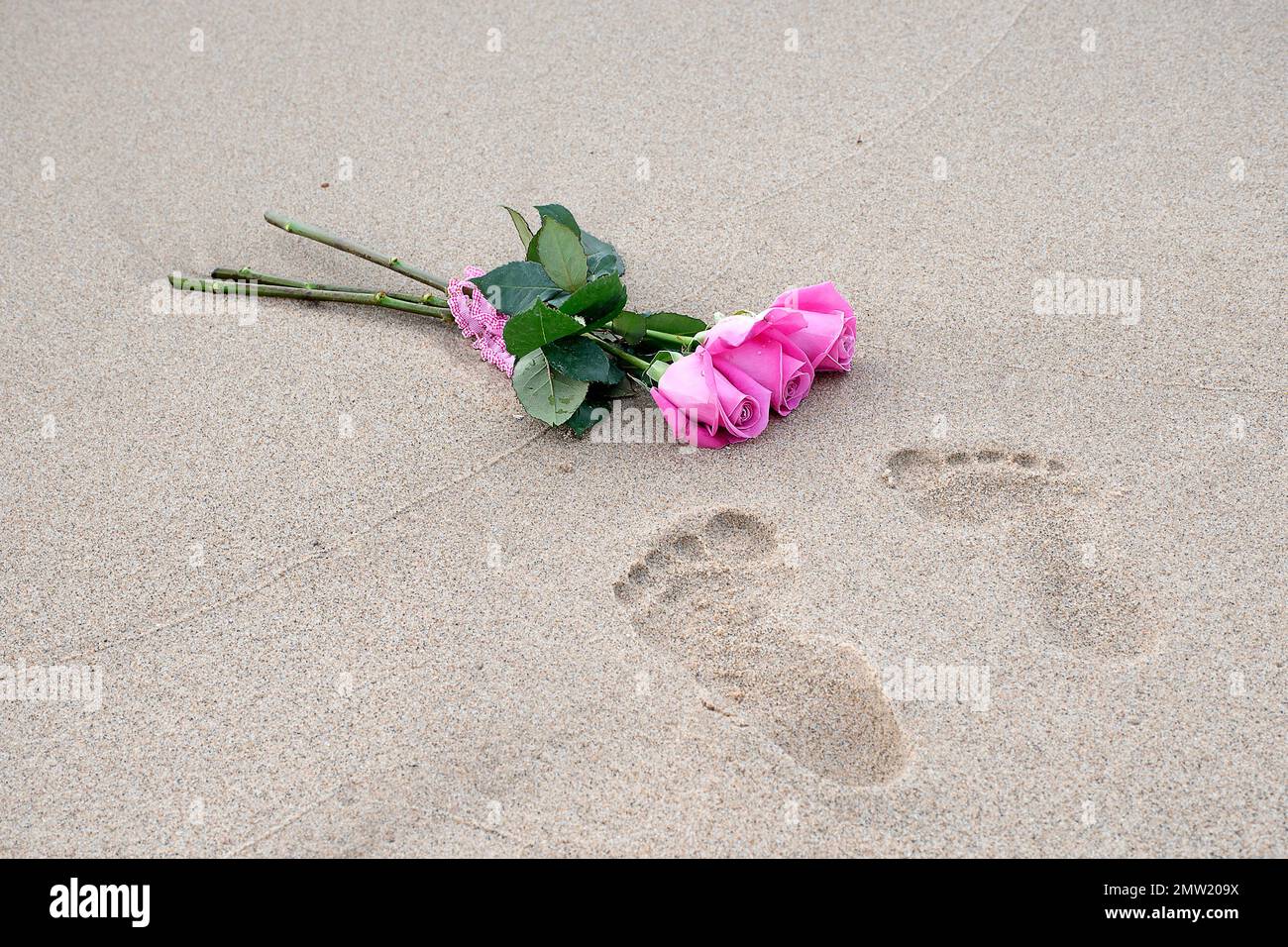 Pair of footprints in beach sand with pink roses and a ruffled ribbon ...