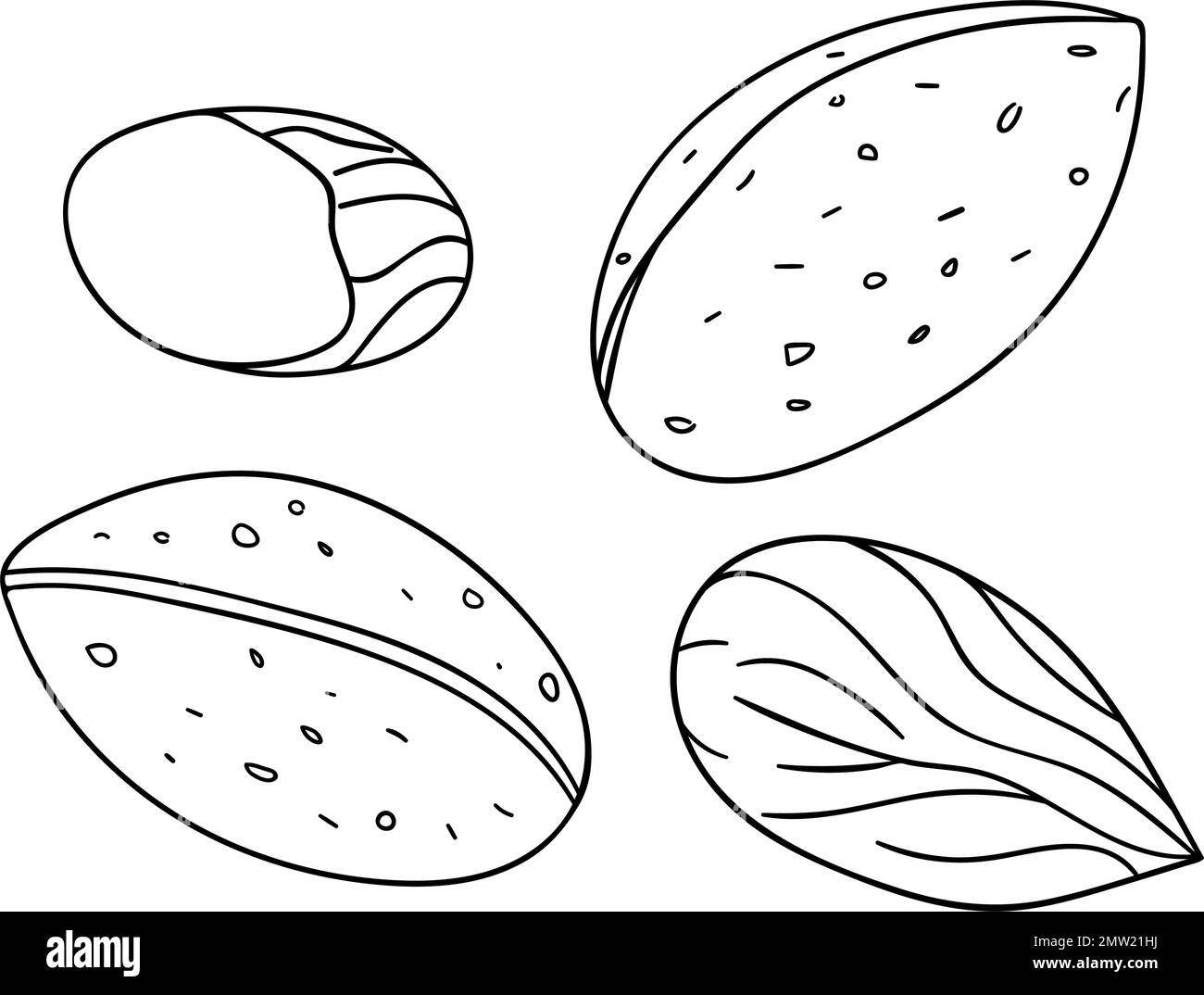 Almond icon Cut Out Stock Images & Pictures - Alamy