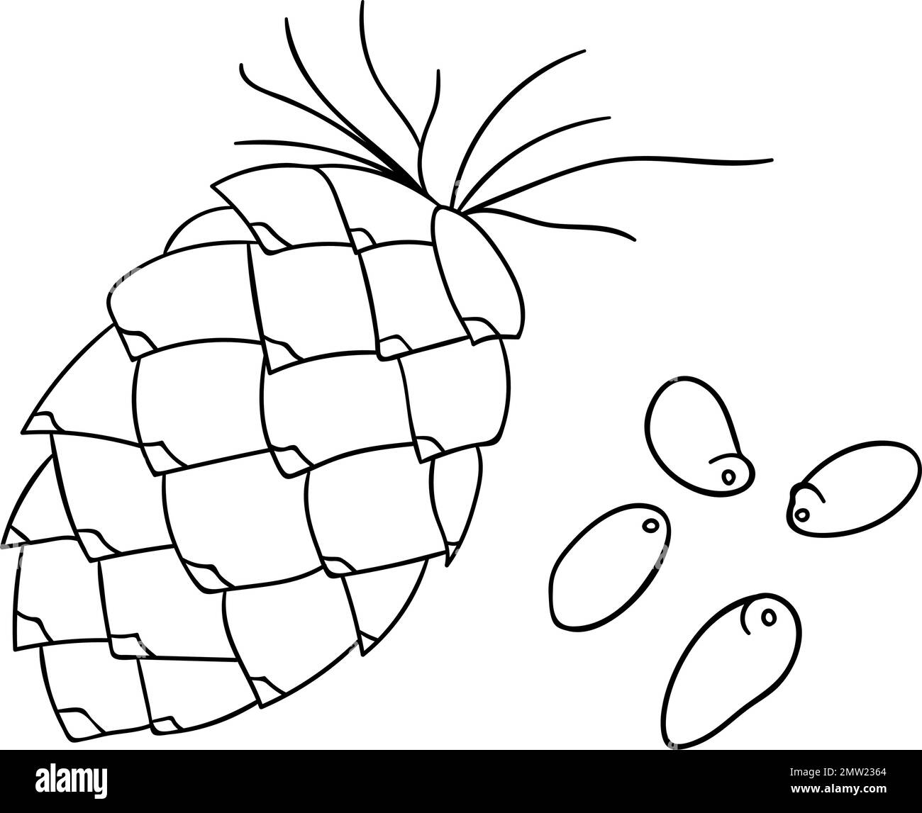 Vector black and white pine nut icon. Set of isolated monochrome nuts ...