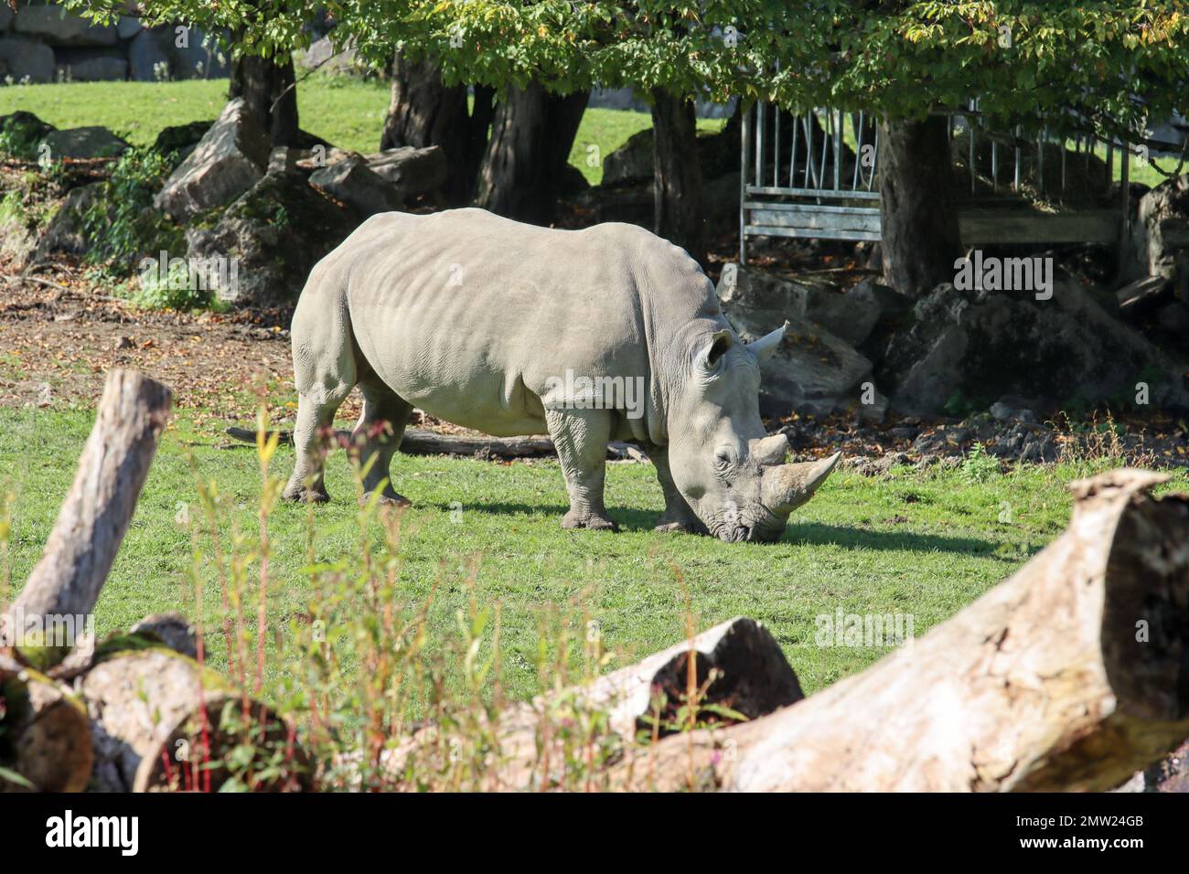 Zoo hellbrunn hi-res stock photography and images - Alamy