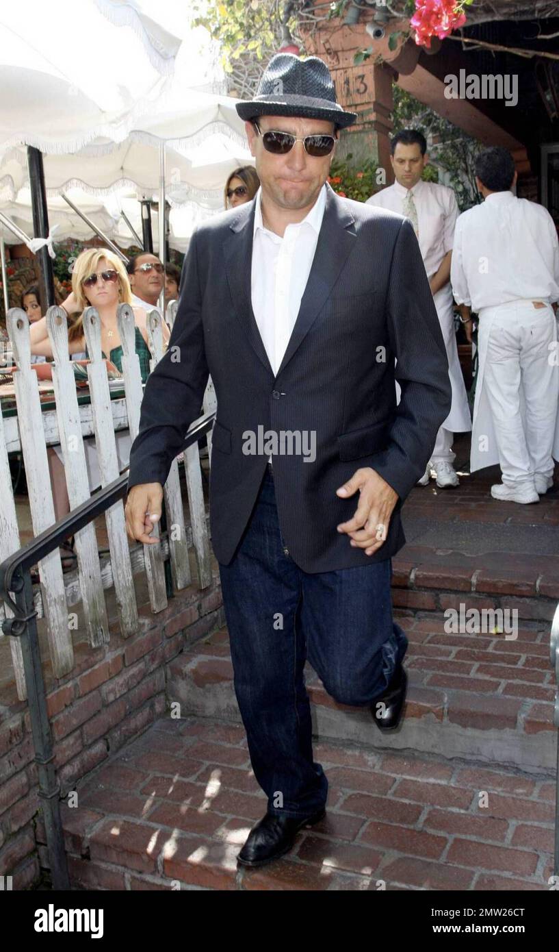 Vinnie Jones looks dapper in a hat, shades and blazer as he leaves The ...