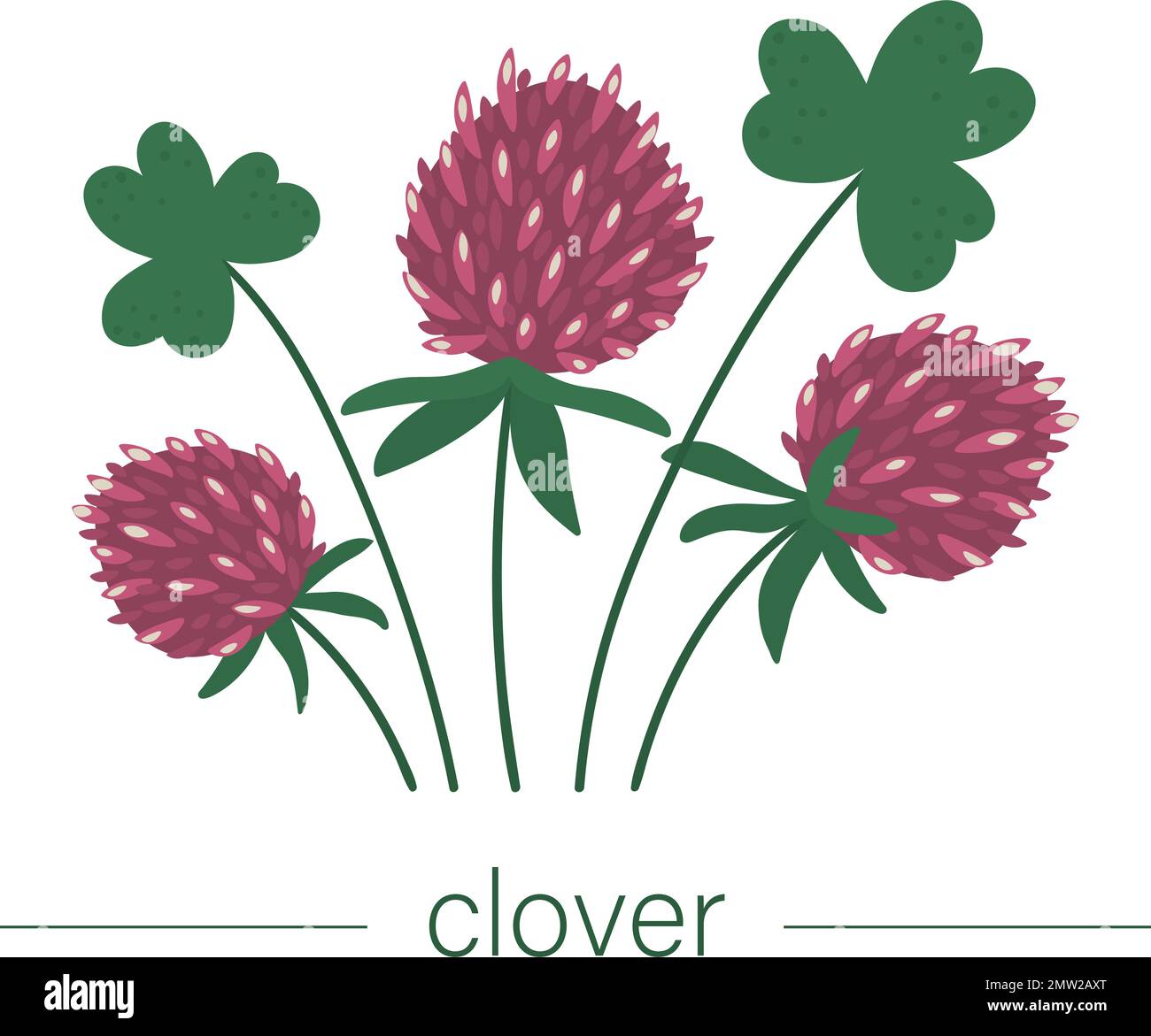 Vector flat clover illustration. Cute spring flowers. First blooming ...