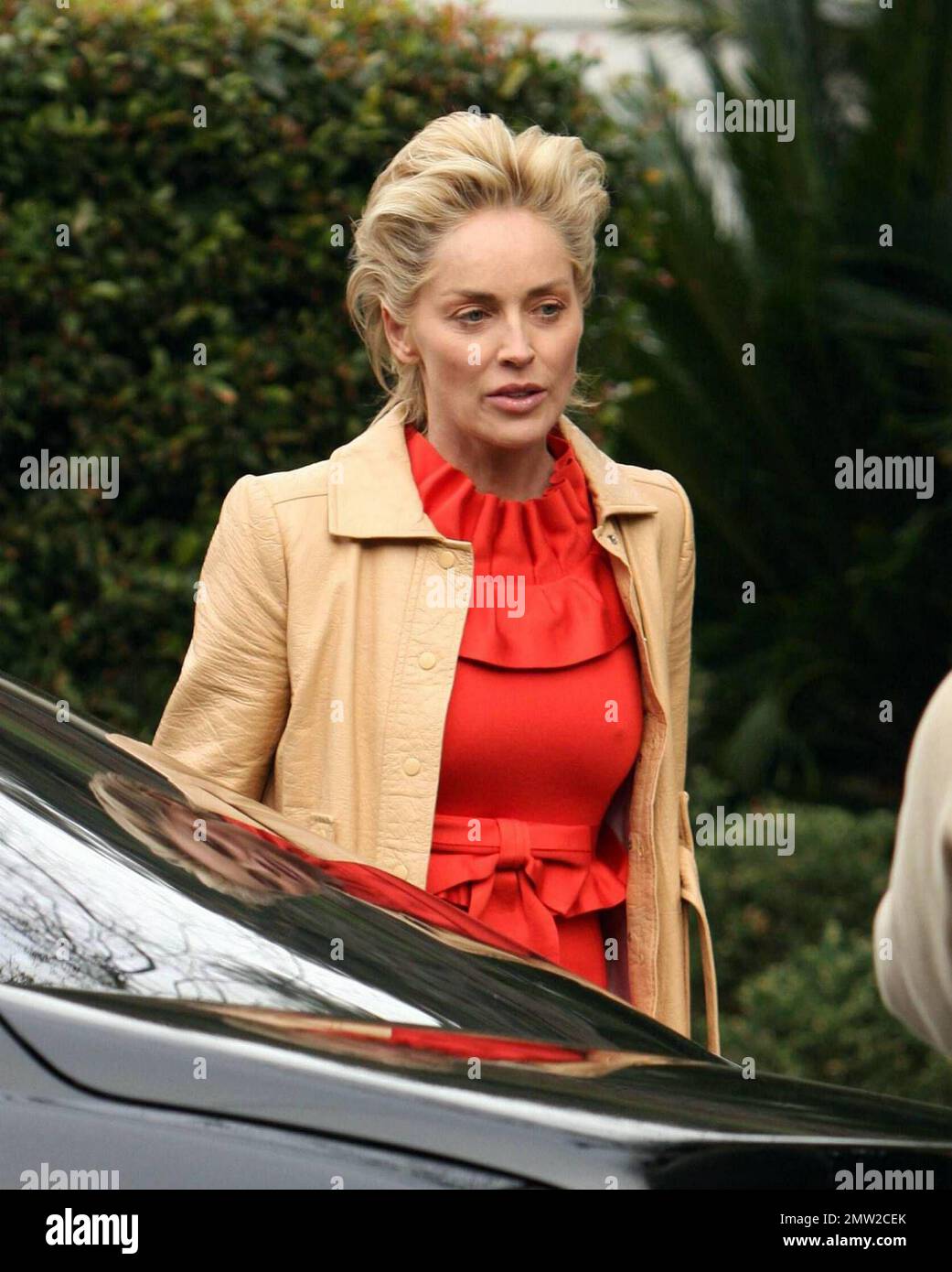Sharon Stone leaves a private party at Diane Von Furstenberg's ...