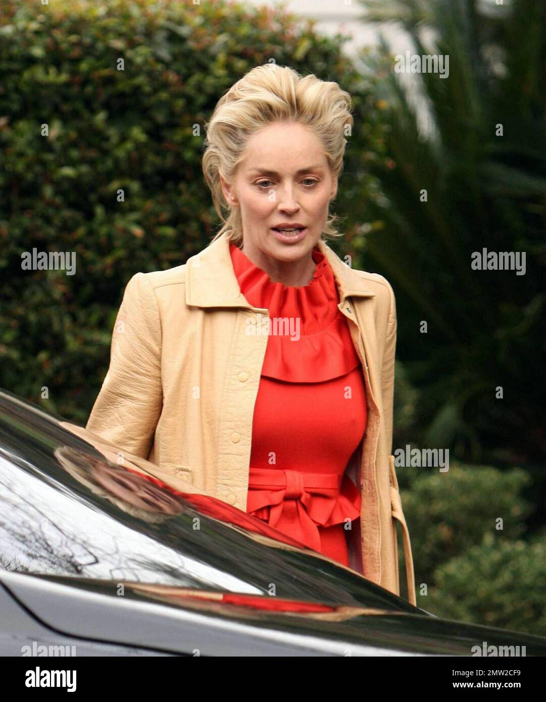 Sharon Stone leaves a private party at Diane Von Furstenberg's ...