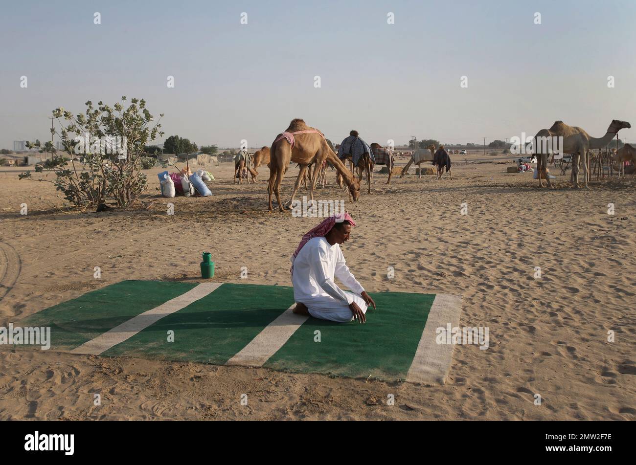 In this Jan. 30, 2017 photo, a Sudanese camel keeper, performs his ...