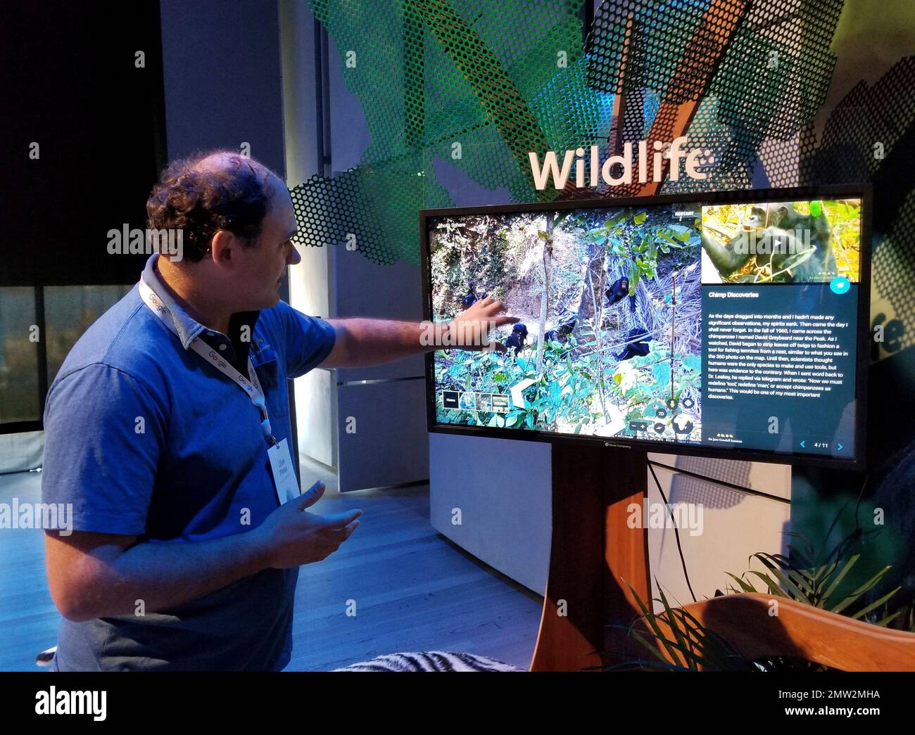 Lilian Pintea, chief scientist with the Jane Goodall Institute ...