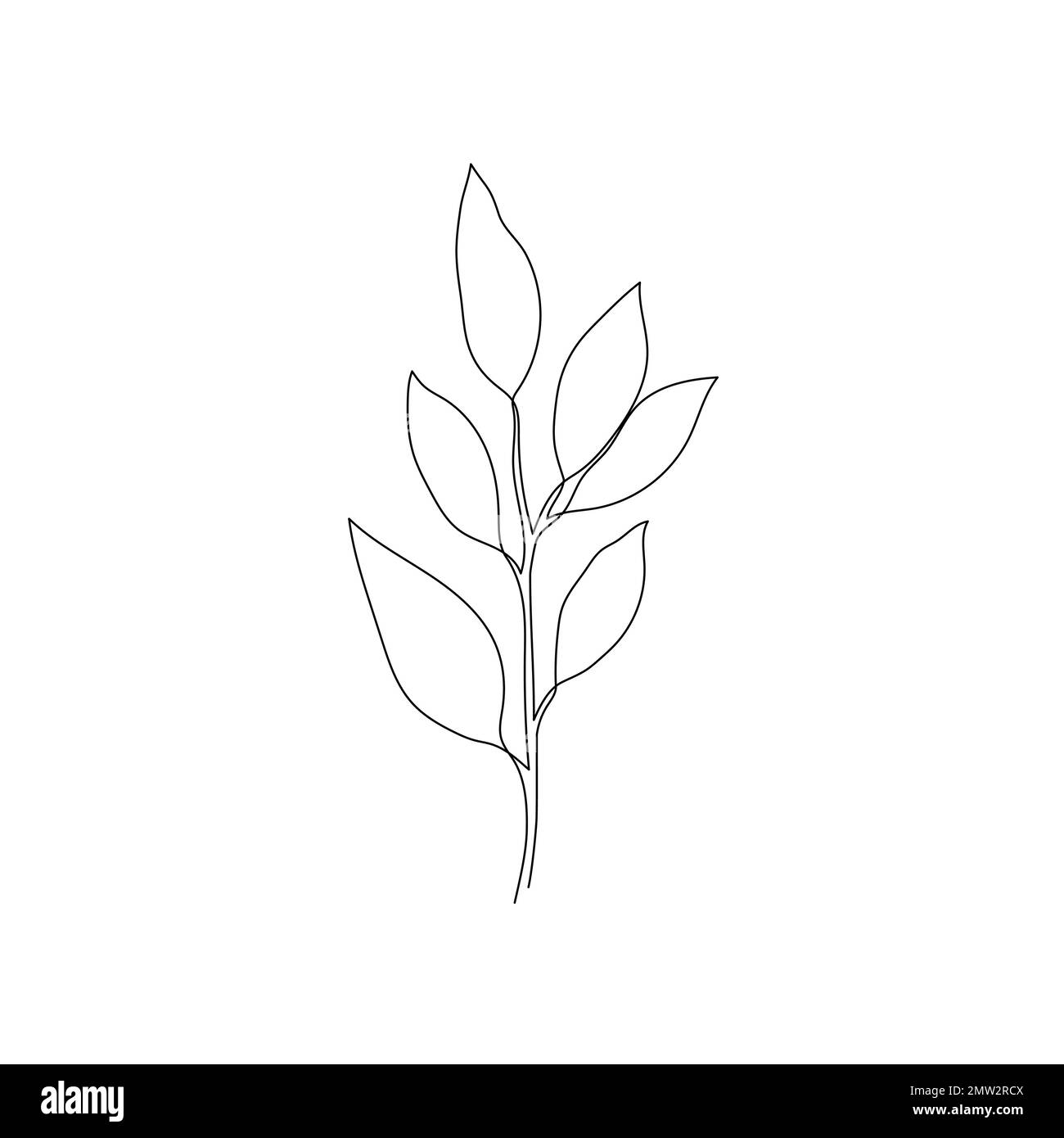 Outline plant eucalyptus leaf. One continuous line art decorative plant ...