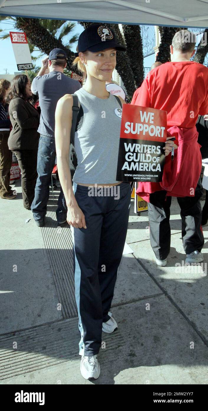 "Private Practice" stars Paul Adelstein, Amy Brenneman, KaDee ...