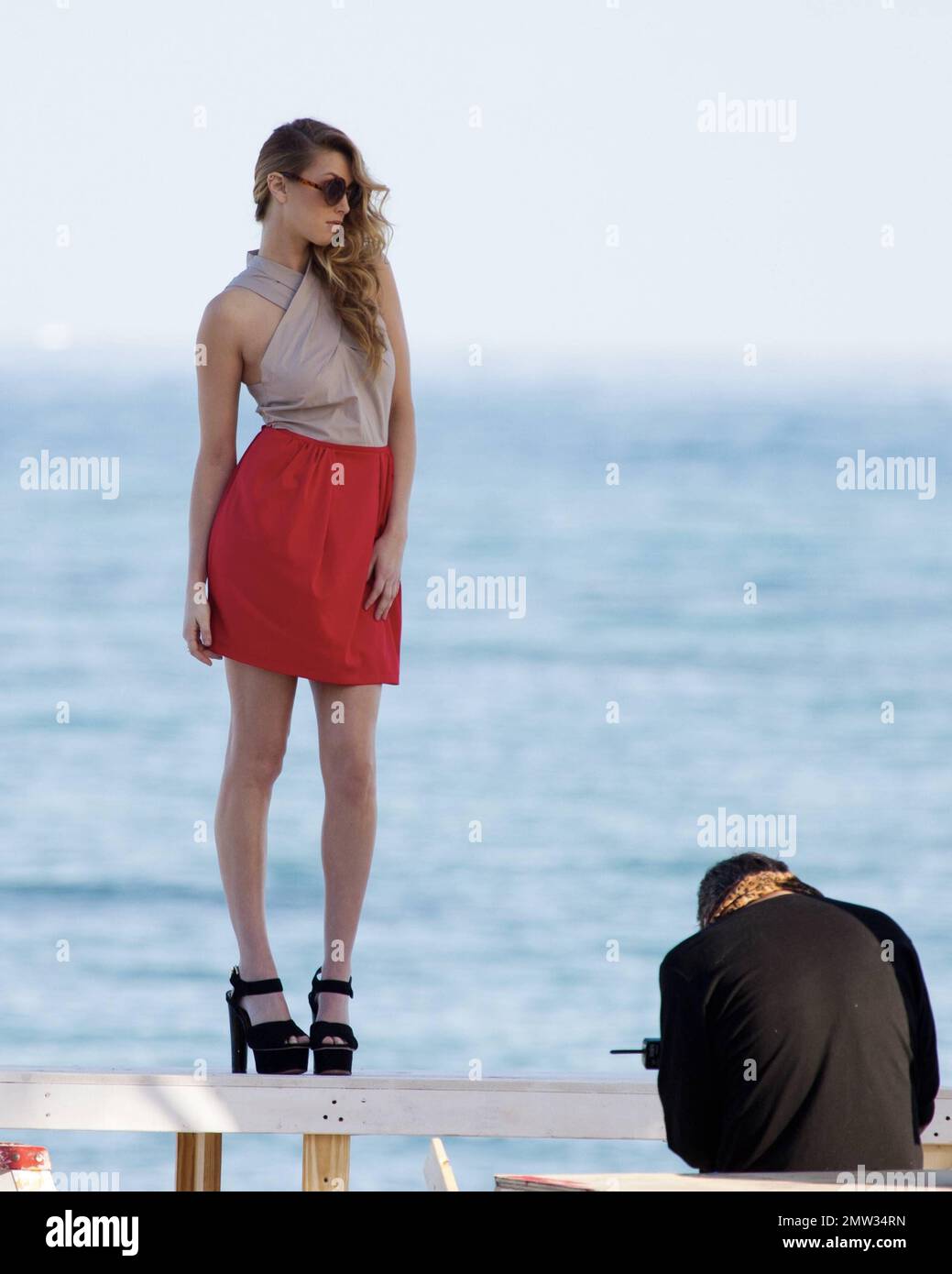 American television personality, clothing designer, and author, Whitney ...