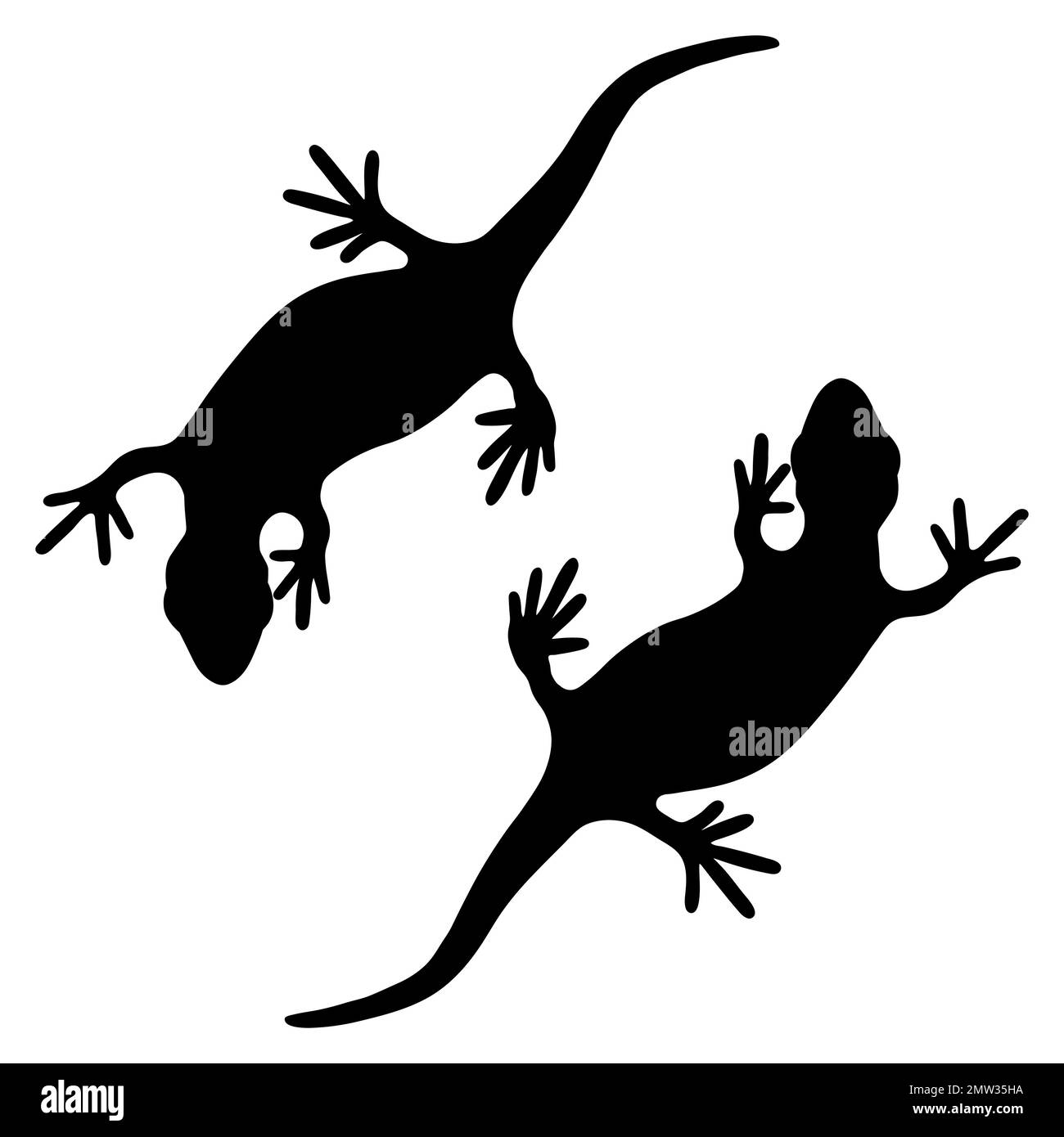 Lizard Silhouette Vector