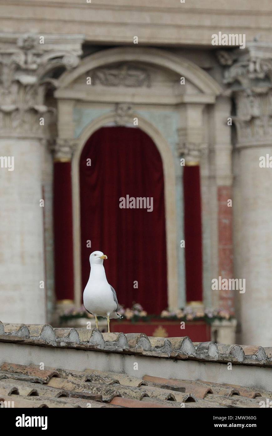 A seagull stands on a roof in front of St. Peter's Basilica, at the ...