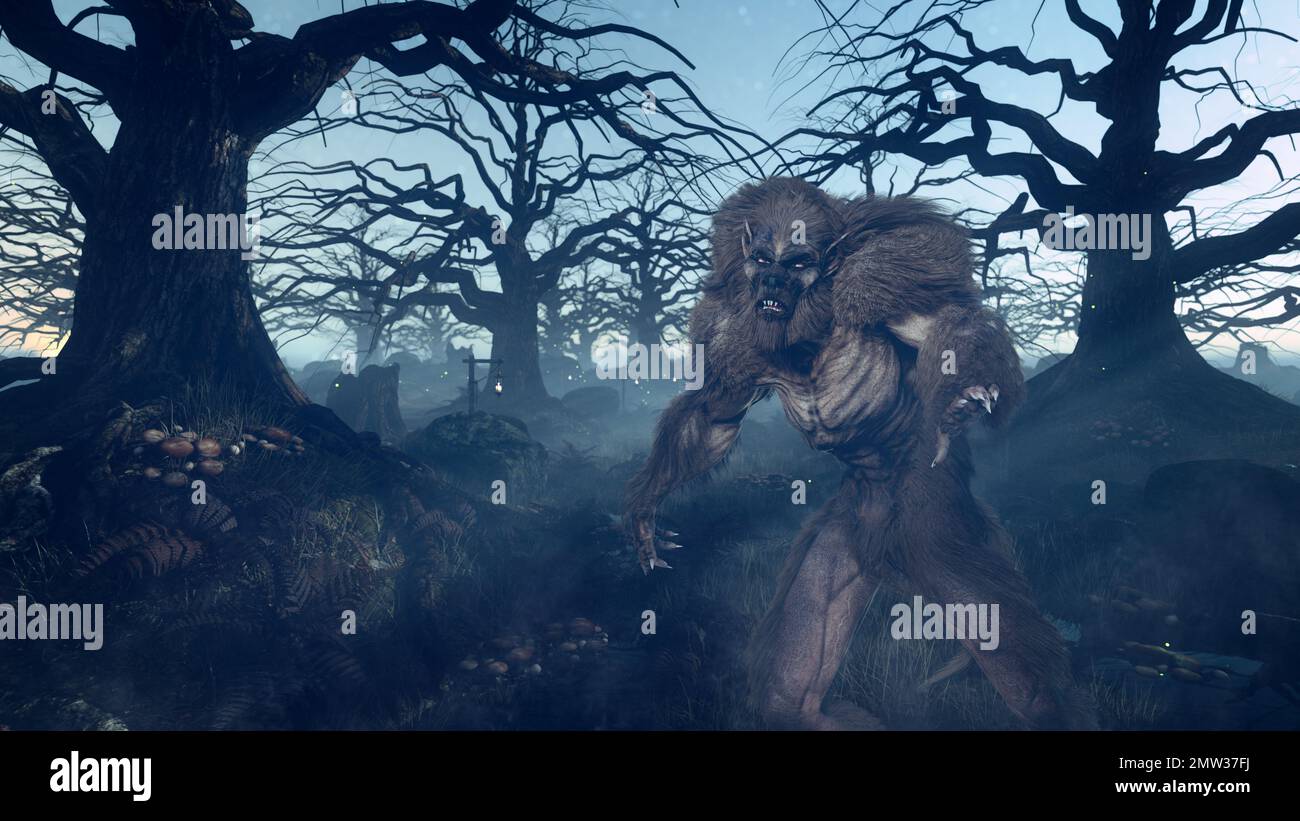 Dark Forest Scenes For Werewolves