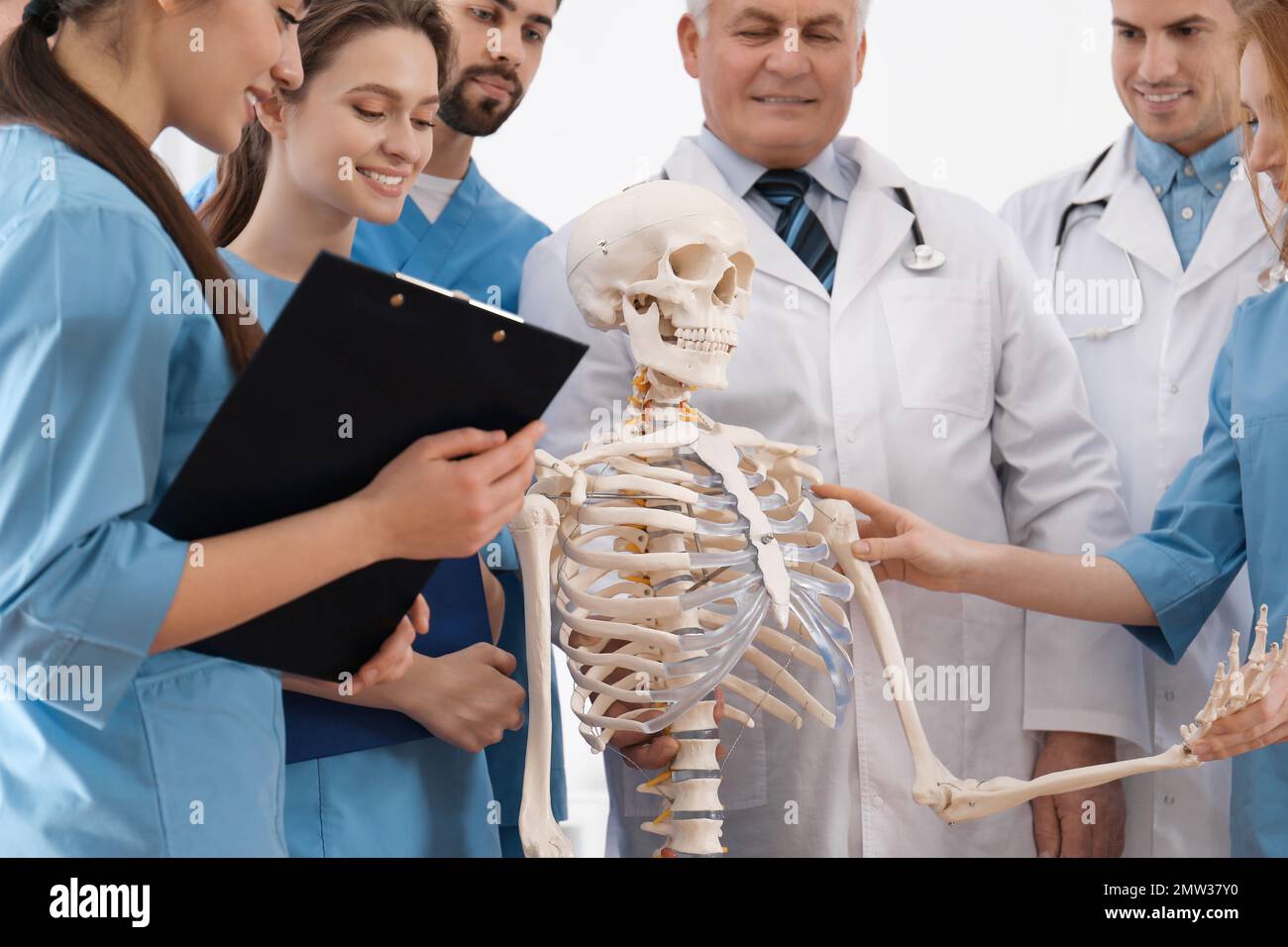 Professional orthopedist with human skeleton model teaching medical ...