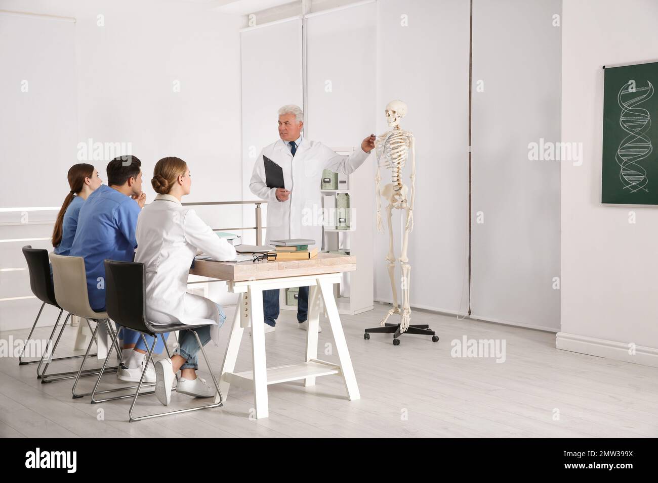 Medical students and professor studying human skeleton anatomy in ...