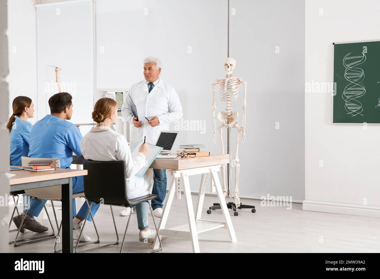 Medical students and professor studying human skeleton anatomy in ...