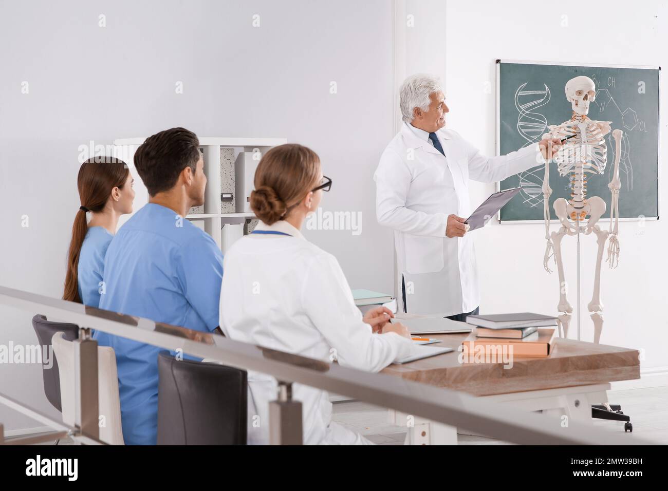 Medical students and professor studying human skeleton anatomy in ...