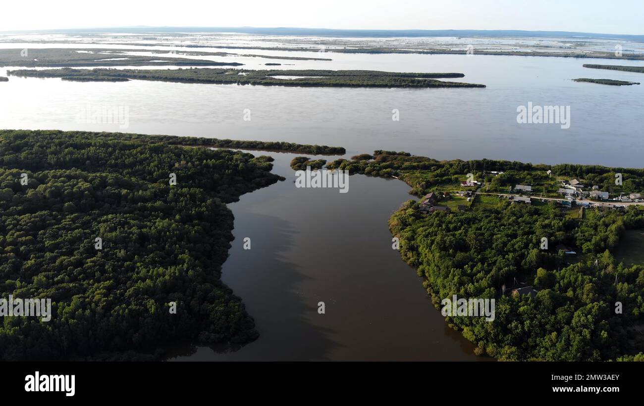 River amur forest hi-res stock photography and images - Alamy