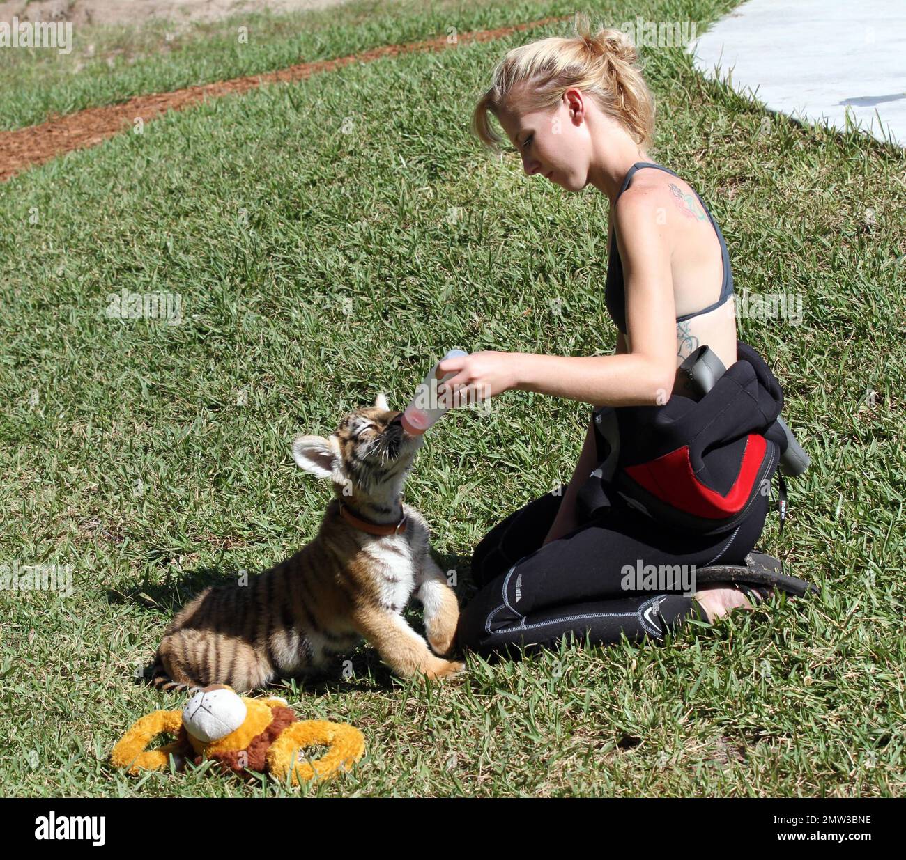 Wild Things Pool Make Out