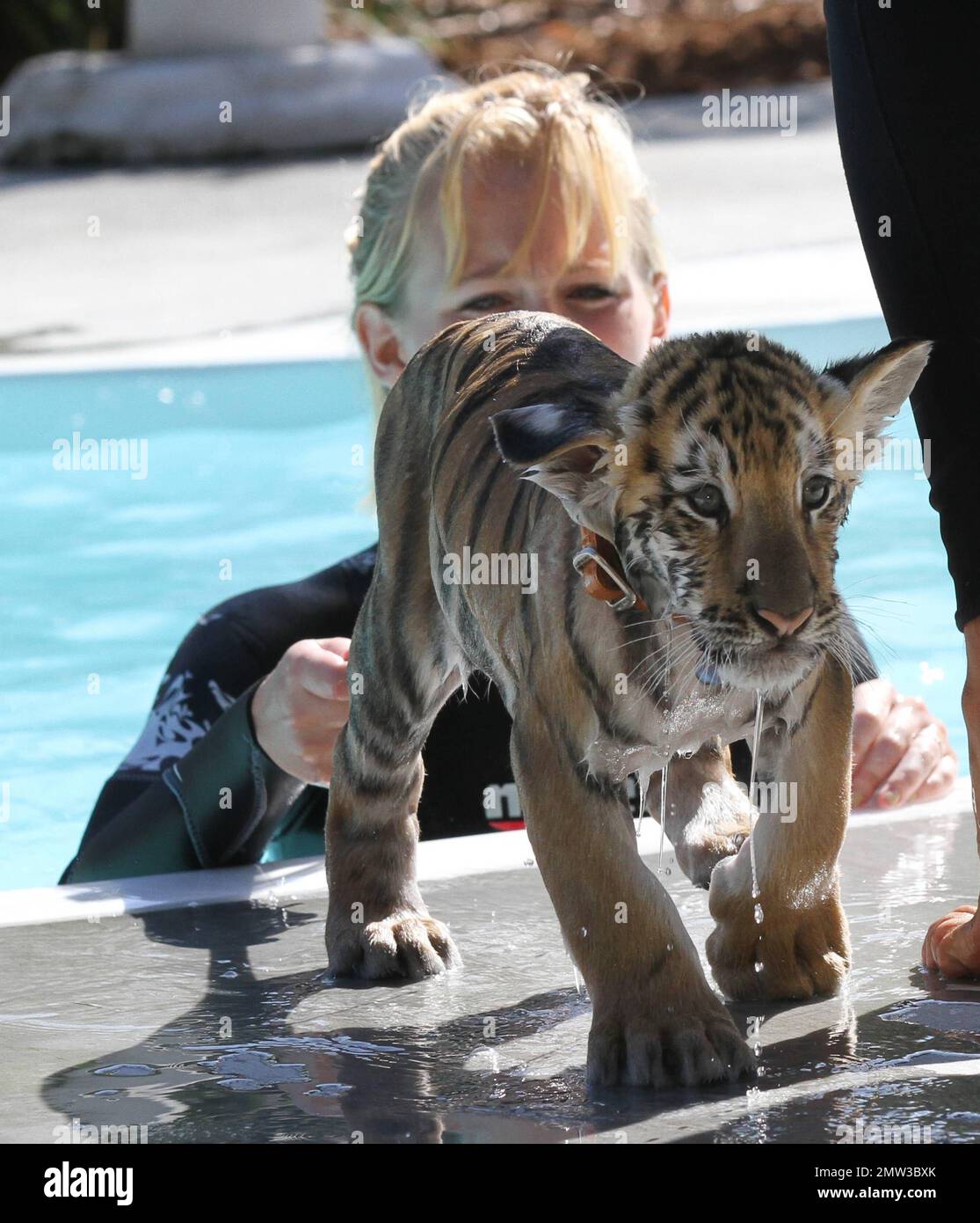 EXCLUSIVE!! Pretty trainer Kelsey spends time with Thing's adorable 10 ...