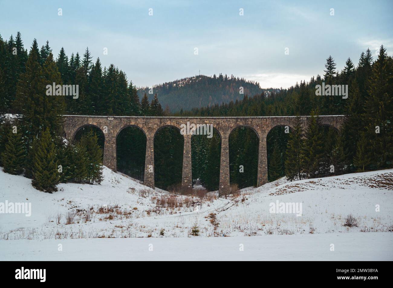 A bridge for the railroad through the forest in winter Stock Photo - Alamy
