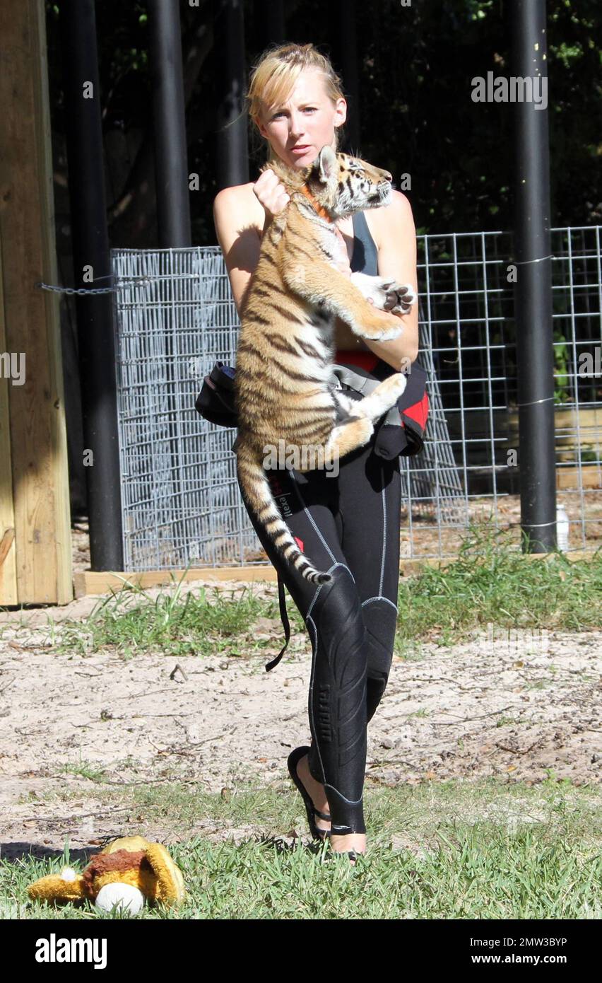 EXCLUSIVE!! This is Wild Thing's adorable 10 week old Tiger cub Tony ...