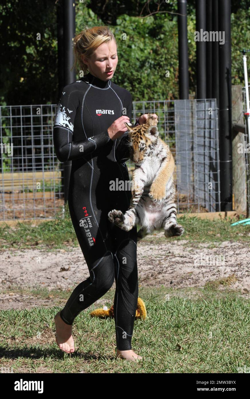 EXCLUSIVE!! This is Wild Thing's adorable 10 week old Tiger cub Tony ...