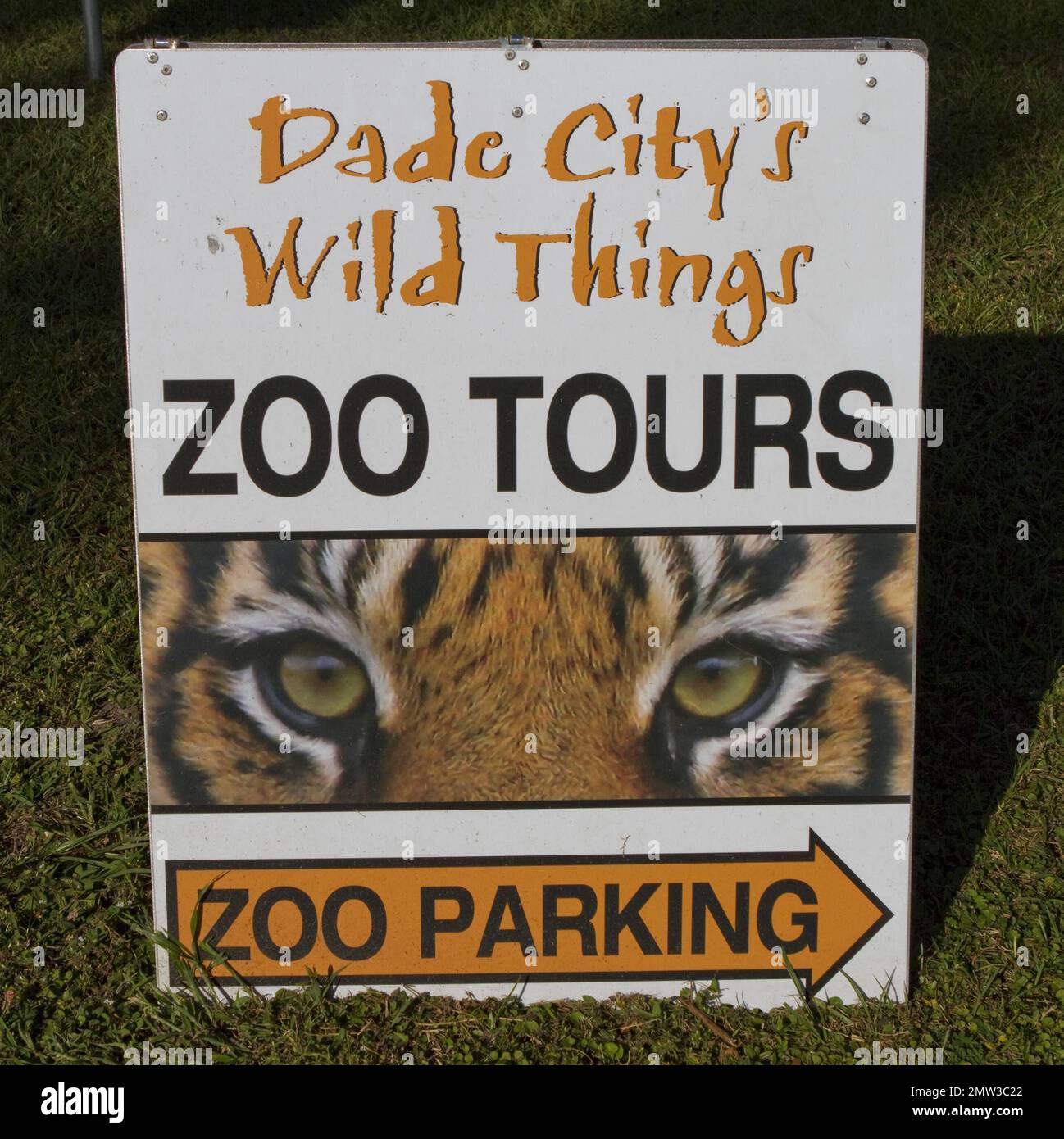 EXCLUSIVE!! General views at the Wild Things wild life park in Northern ...