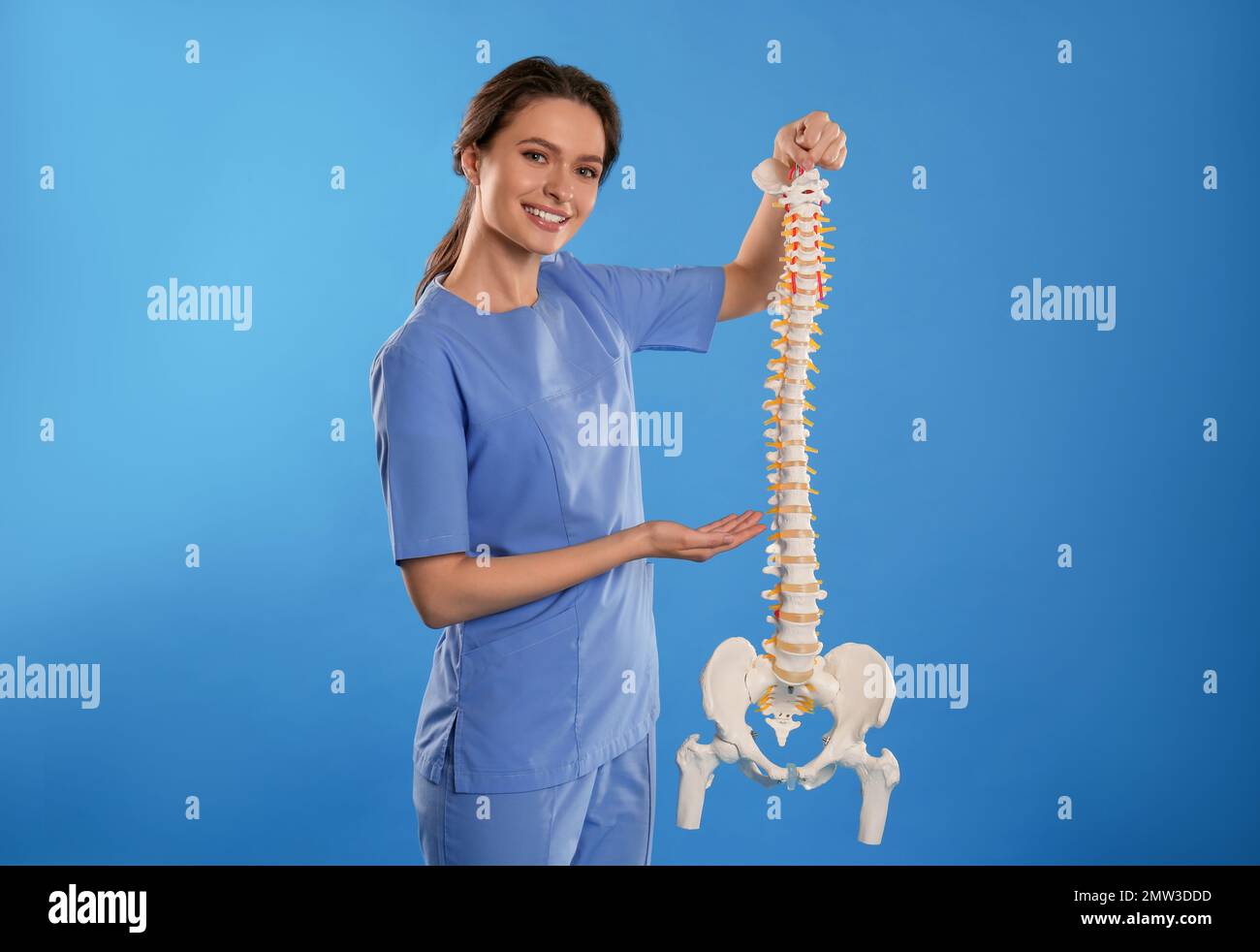 Female orthopedist with human spine model against blue background Stock ...