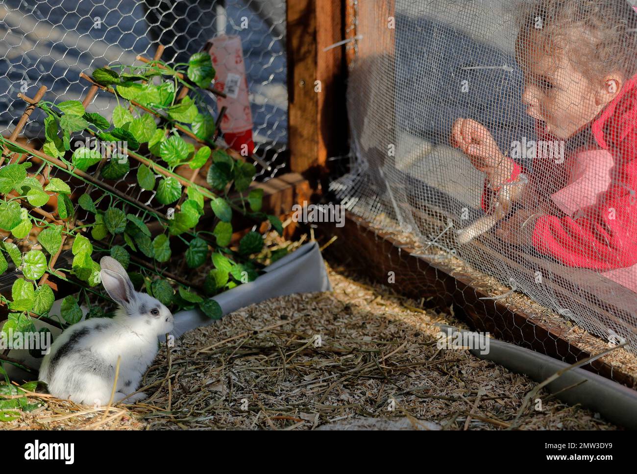 In this Thursday, April 13, 2017, picture a child tries to interact ...