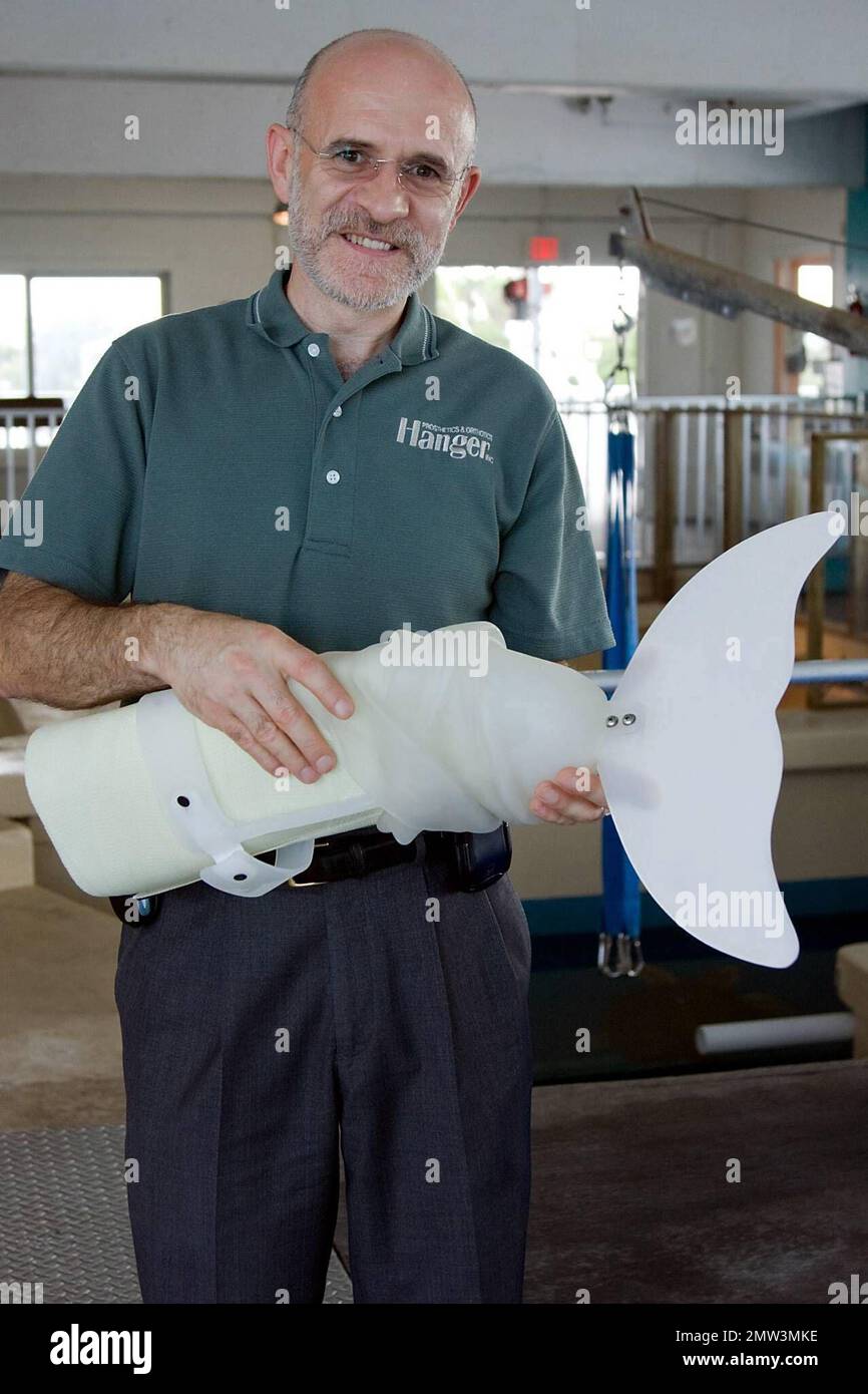 Even dolphins can wear prosthetic limbs! Two years ago Winter lost her ...