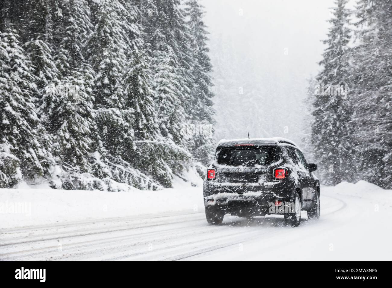 Modern car on snowy road near forest. Winter vacation Stock Photo - Alamy