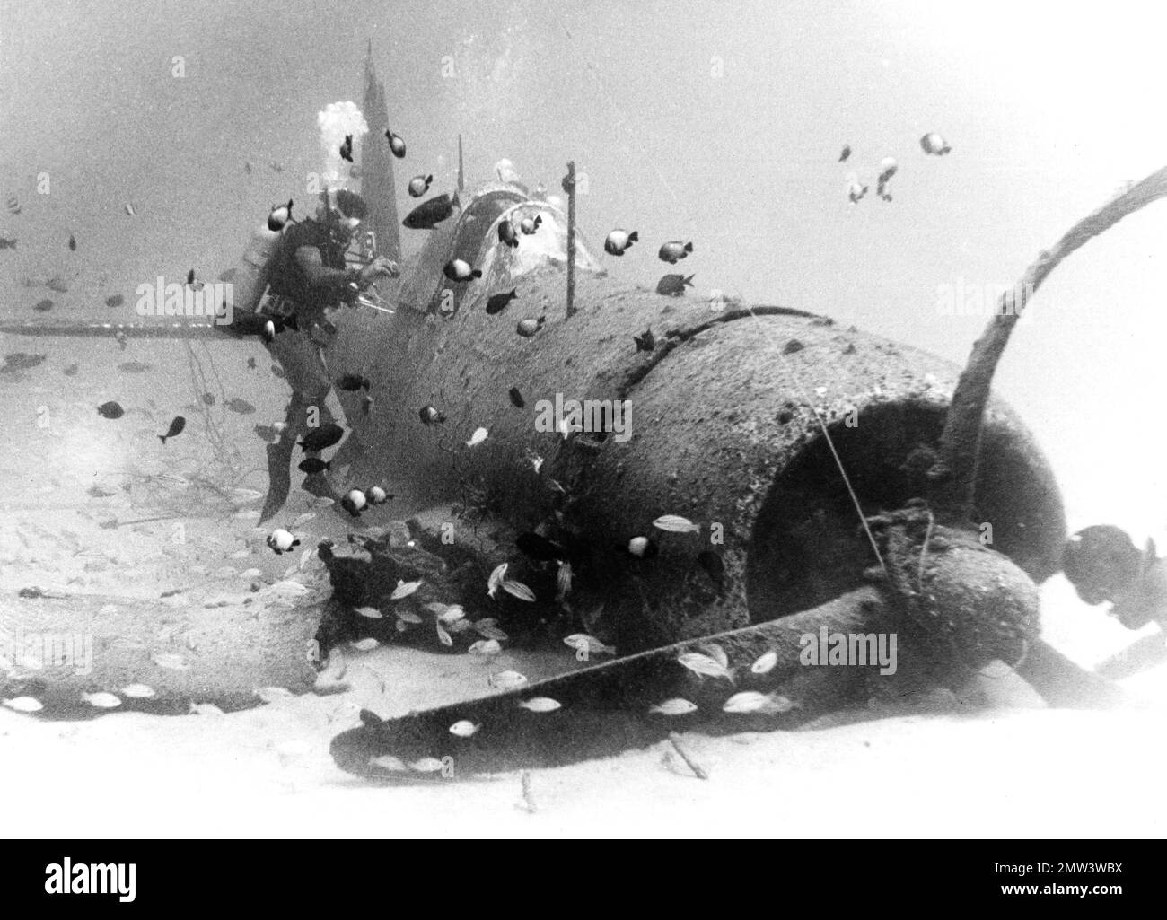 A diver pokes around the cockpit of a lost Corsair, a World War II ...